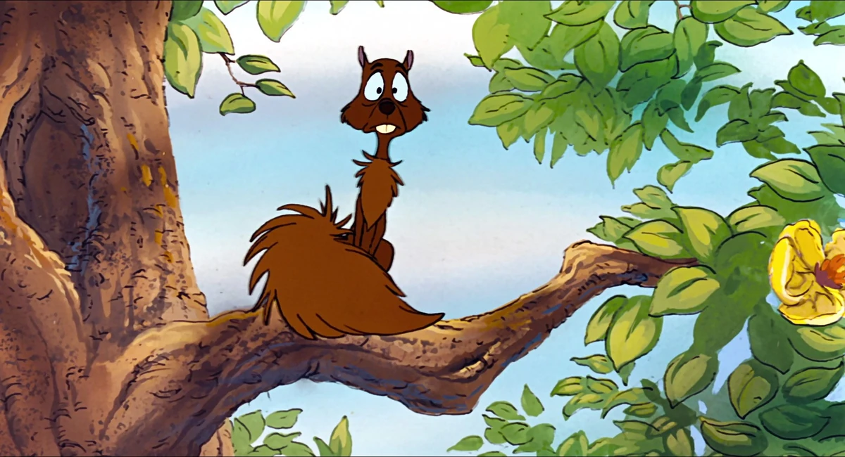 Squirrel | Animated Animals Wiki | Fandom