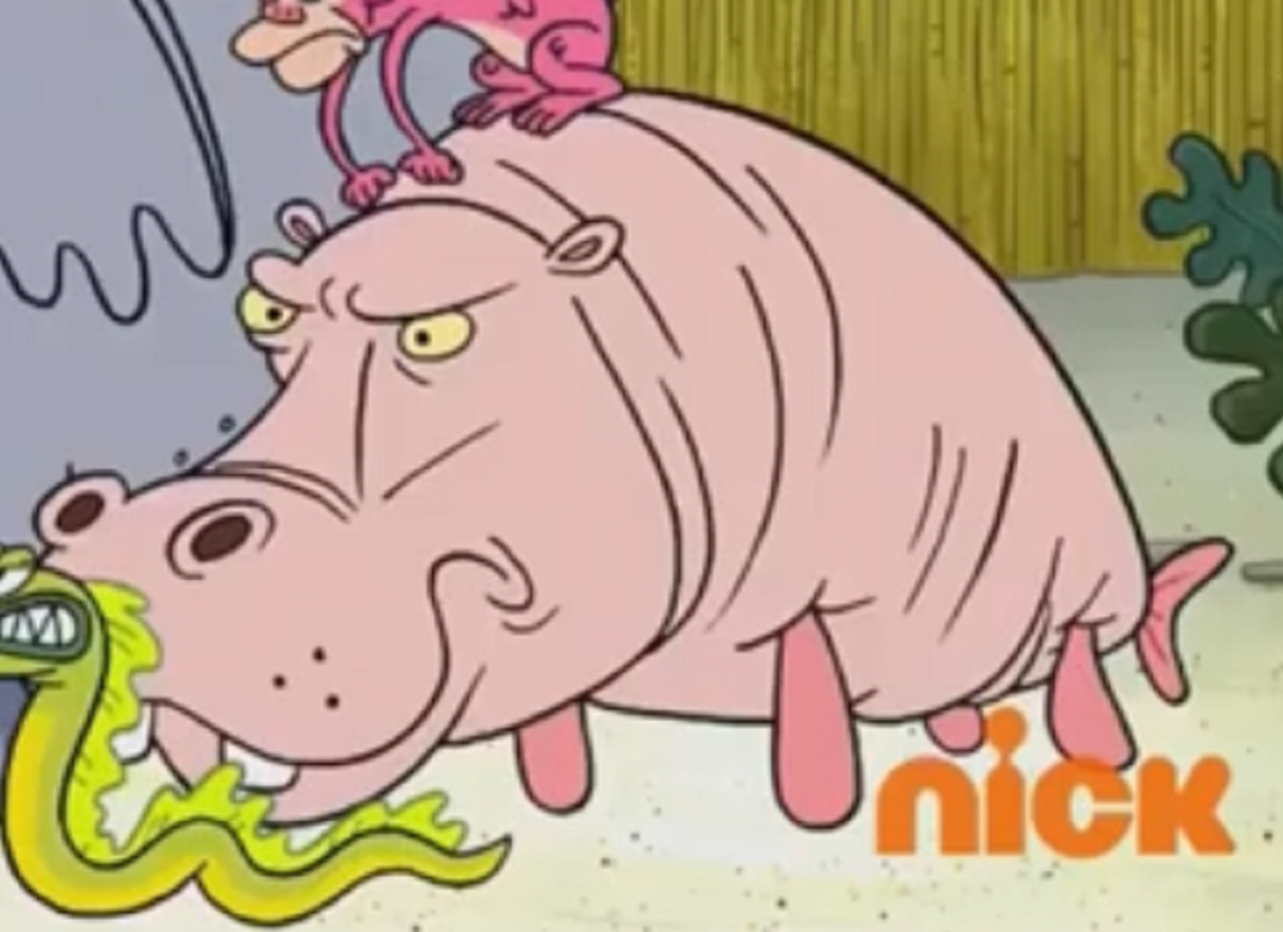 Hippo (Spongebob Squarepants) | Animated Animals Wiki | Fandom Hippo (Spongebob Squarepants) | Animated Animals Wiki | Fandom