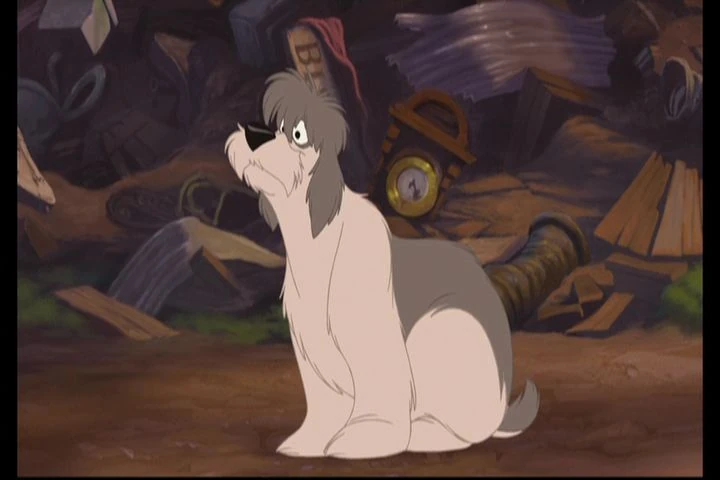 Mooch | Animated Animals Wiki | Fandom