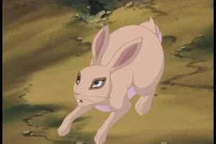 Primrose | Animated Animals Wiki | Fandom