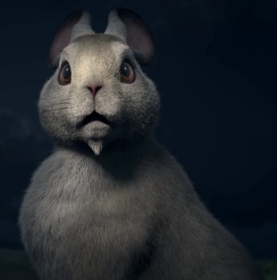 Laurel | Animated Animals Wiki | Fandom