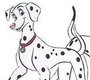 Dottie | Animated Animals Wiki | Fandom