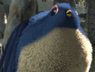 Bluebird | Animated Animals Wiki | Fandom