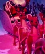 Dasher | Animated Animals Wiki | Fandom