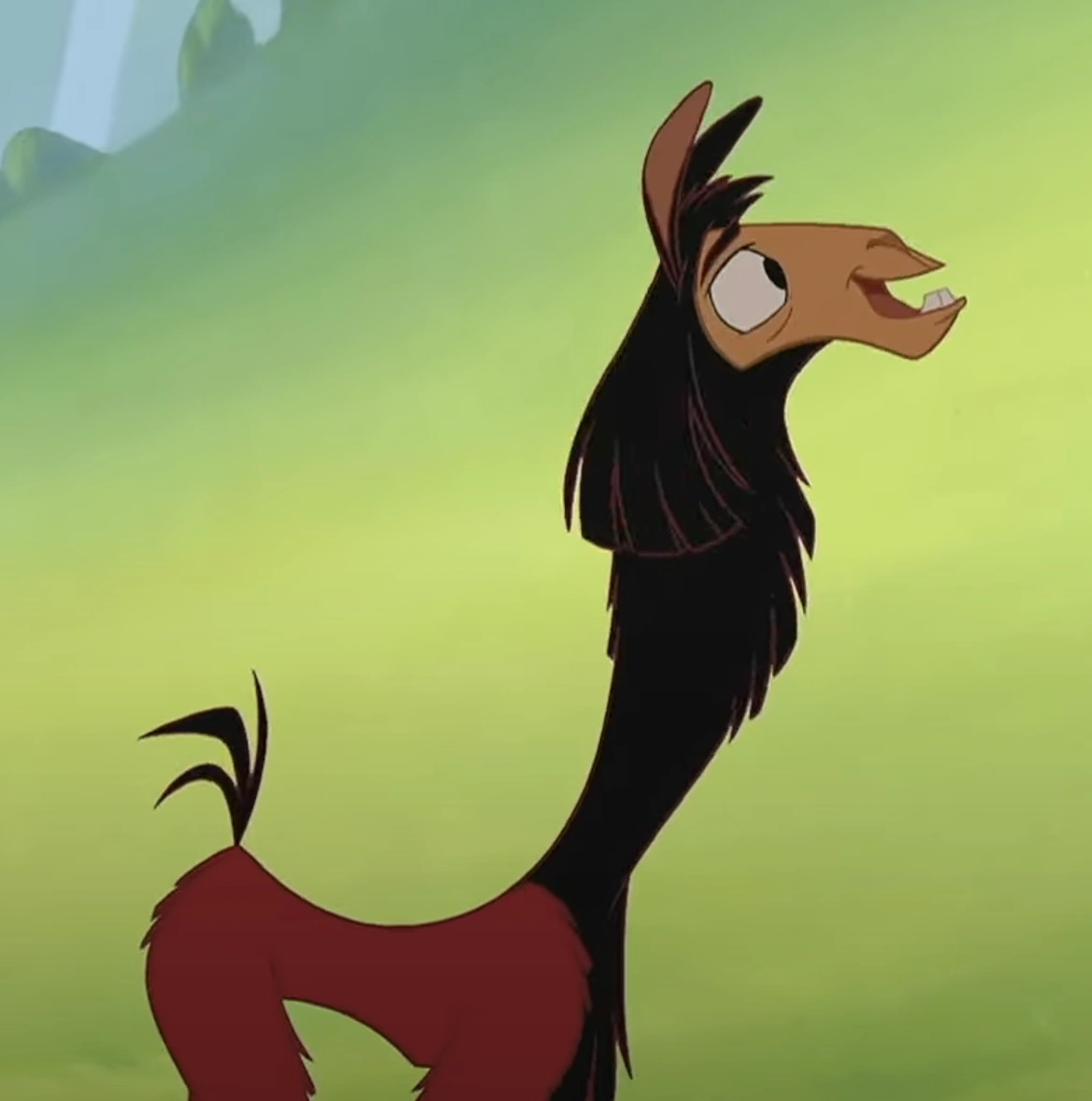 Kuzco | Animated Animals Wiki | Fandom