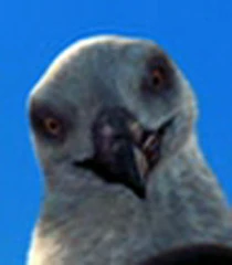 Vinnie | Animated Animals Wiki | Fandom