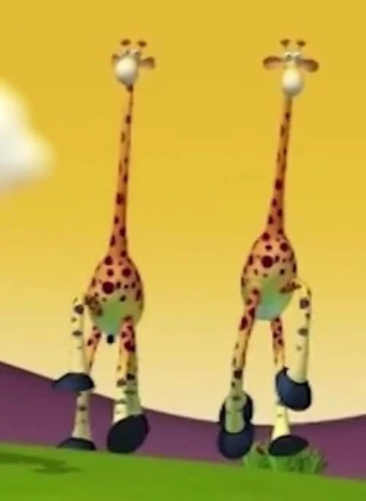 Giraffes (Gazoon) | Animated Animals Wiki | Fandom