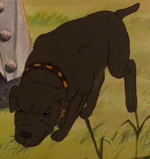 Bob | Animated Animals Wiki | Fandom