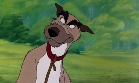 Chief | Animated Animals Wiki | Fandom