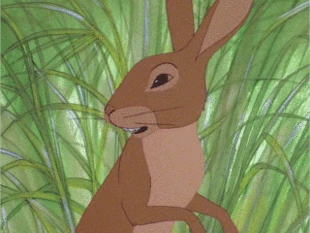 Dandelion | Animated Animals Wiki | Fandom