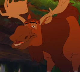 Tuke | Animated Animals Wiki | Fandom