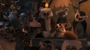Lemurs (Madagascar) | Animated Animals Wiki | Fandom