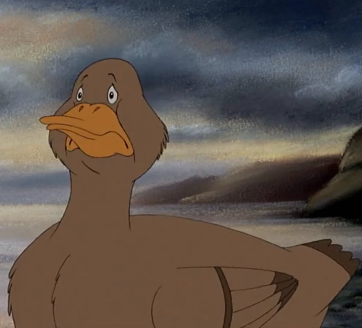 Category:Ducks | Animated Animals Wiki | Fandom