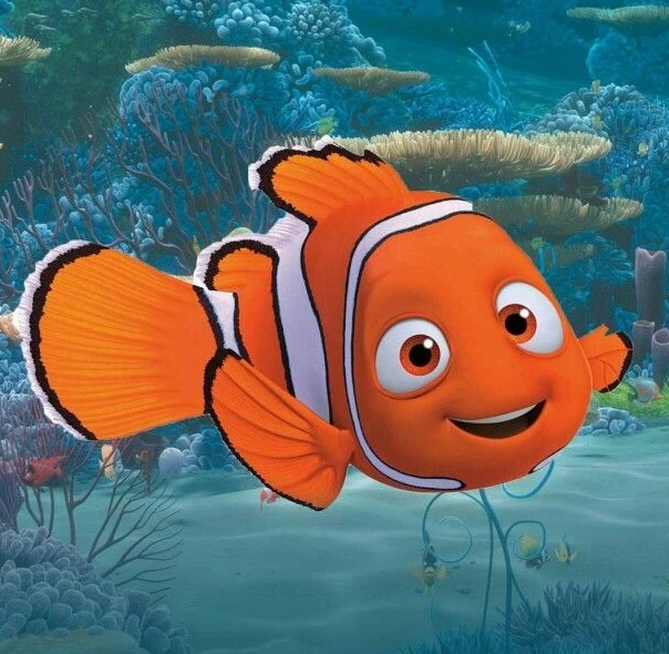 Nemo | Animated Animals Wiki | Fandom