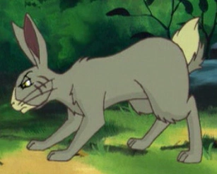 Gorse | Animated Animals Wiki | Fandom