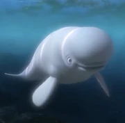 Bailey | Animated Animals Wiki | Fandom