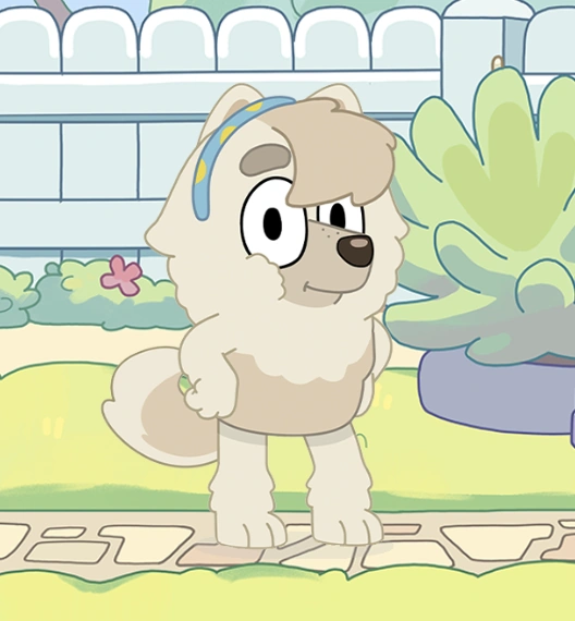 Judo | Animated Animals Wiki | Fandom