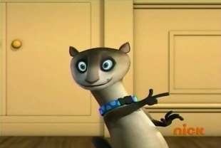 Zoe | Animated Animals Wiki | Fandom