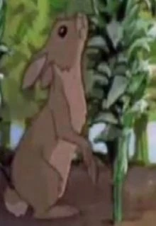 Violet | Animated Animals Wiki | Fandom