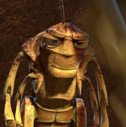 Hopper | Animated Animals Wiki | Fandom