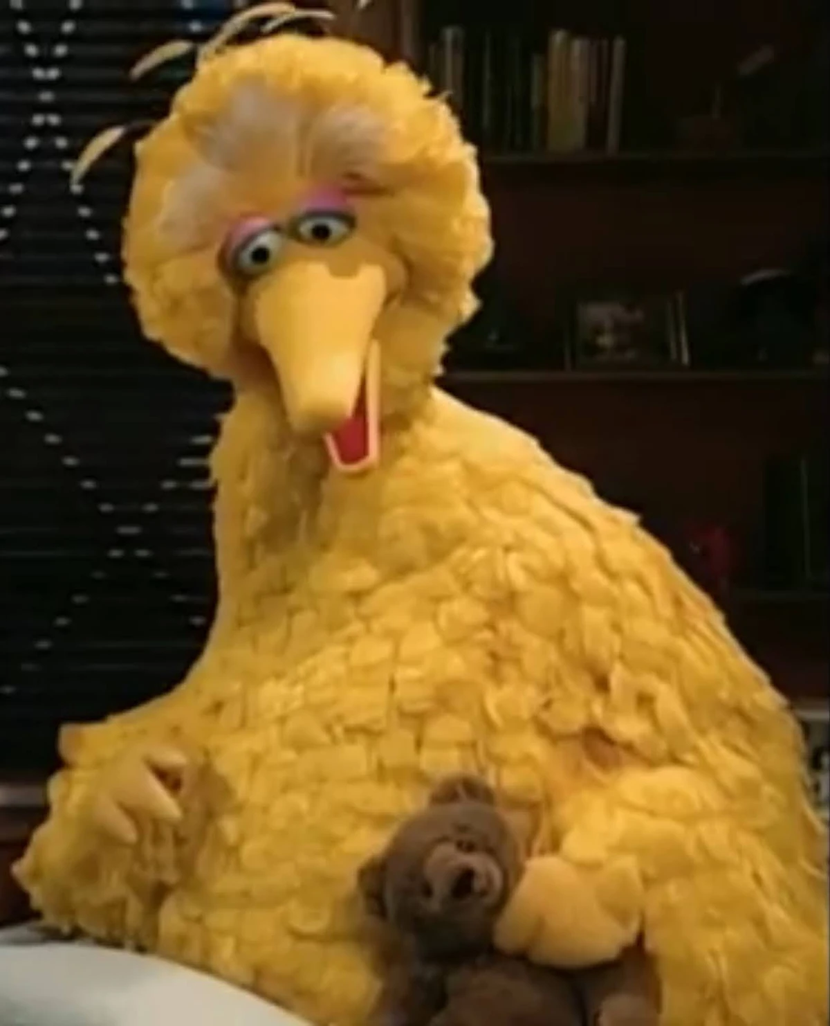 Big Bird | Animated Animals Wiki | Fandom