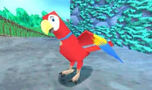 Category:Birds | Animated Animals Wiki | Fandom