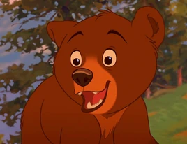 Koda | Animated Animals Wiki | Fandom