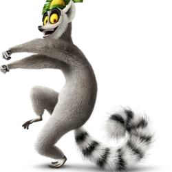 Lemur Animal Animation