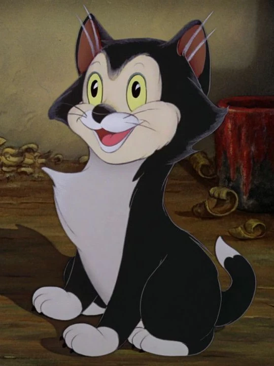 Figaro | Animated Animals Wiki | Fandom