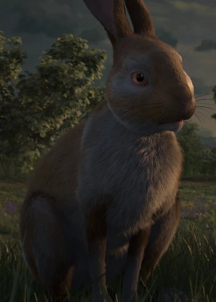 Haystack | Animated Animals Wiki | Fandom