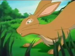 Heather | Animated Animals Wiki | Fandom