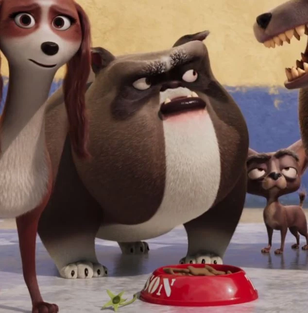 Boxer | Animated Animals Wiki | Fandom