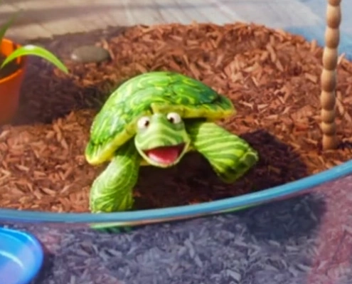 Shelly (SLOP) | Animated Animals Wiki | Fandom