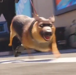 German Shepherd (Dog) | Animated Animals Wiki | Fandom