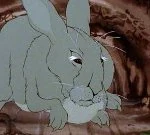 Threarah | Animated Animals Wiki | Fandom