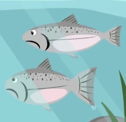 Fishes | Animated Annoying Orange Wiki | Fandom