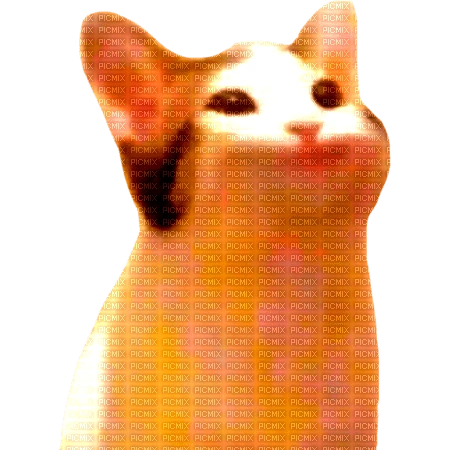 Popcat | Animated Cats Wiki | Fandom