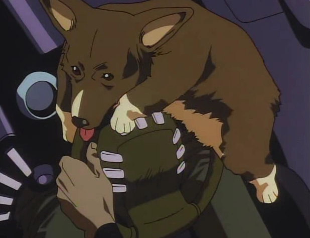 Ein | Animated Dogs Wiki | Fandom