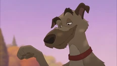 Chief | Animated Dogs Wiki | Fandom