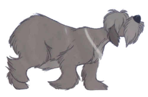 Colonel | Animated Dogs Wiki | Fandom