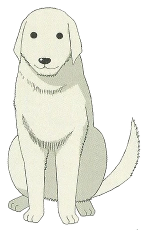 Mr. Tadakichi | Animated Dogs Wiki | Fandom