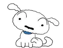 Shiro | Animated Dogs Wiki | Fandom