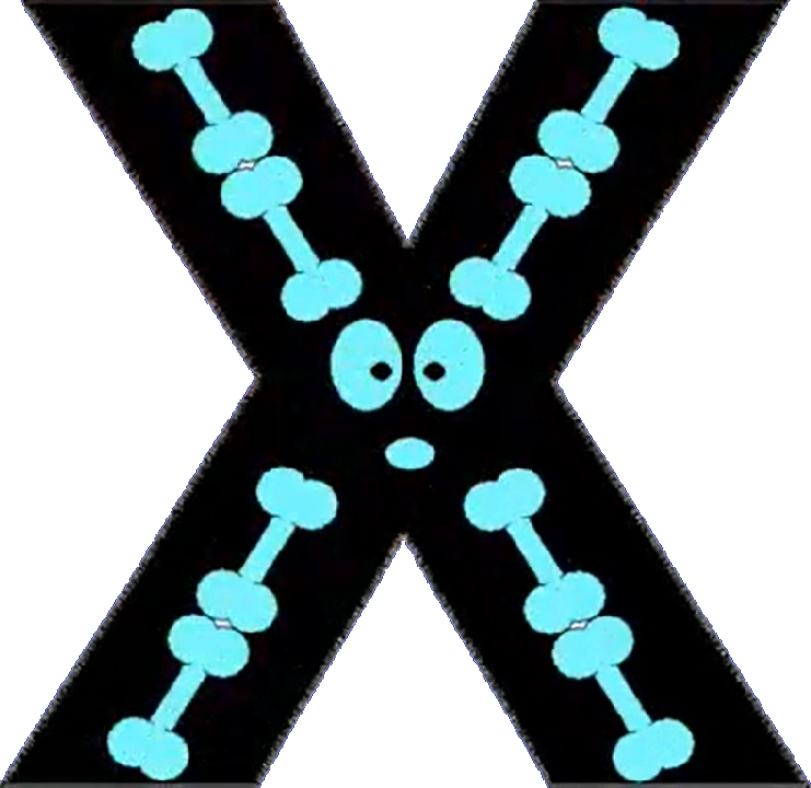 Skele-Boy X | Animated Inanimate Battle but with ShapeTales Wiki | Fandom