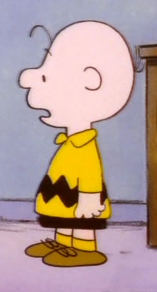 Charlie Brown | Animated Spinning Wiki | Fandom