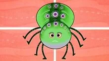 Spider (Tinga Tinga Tales) | Wiki Animated spinning | Fandom