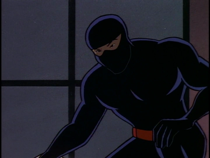 Ninja | Animated Wiki | Fandom