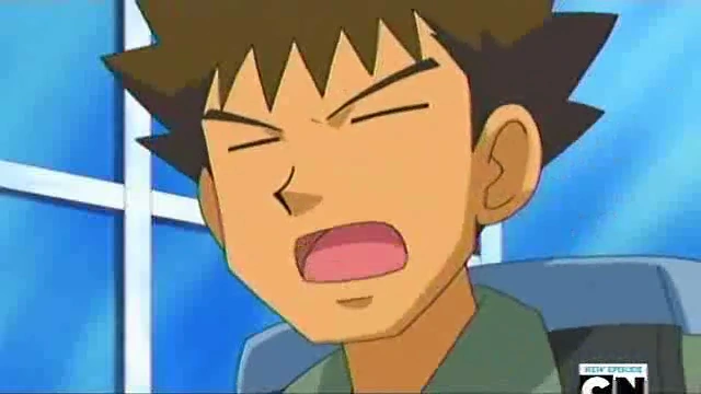 Brock | Animated Wiki | Fandom