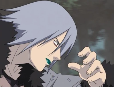 Sakon and Ukon | Animated Wiki | Fandom