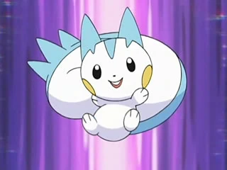 Pachirisu | Animated Wiki | Fandom