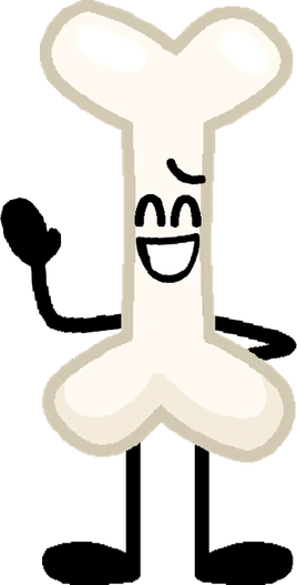 Bone | Animated Inanimate Battle Wiki | Fandom